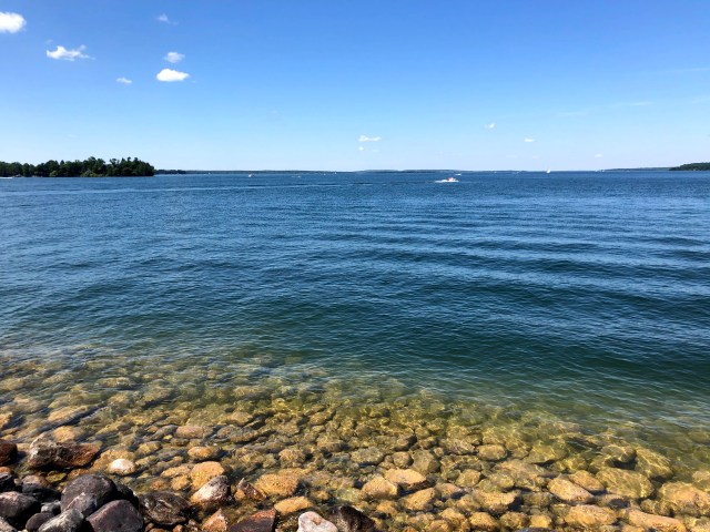 Giant Mayfly – North MN Outdoors