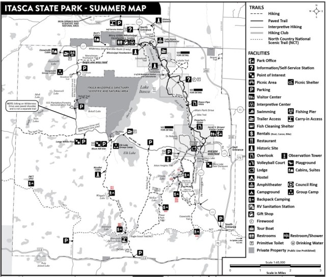 Maples in Itasca State Park – North MN Outdoors