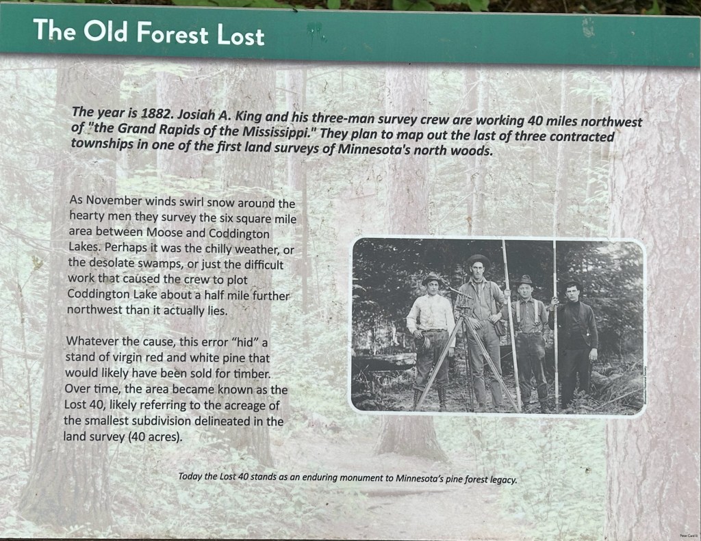 The Lost 40; A Remnant of Old Growth Forest in Minnesota – North MN ...