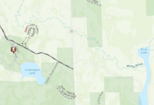 The Lost 40; A Remnant of Old Growth Forest in Minnesota – North MN ...